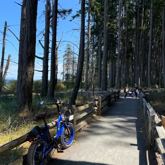 Safe Riding Circuits in Parksville, BC with Bark Echo eBikes
