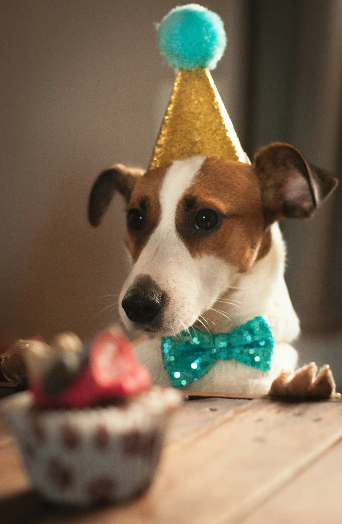Doggone It Event Rentals, LLC