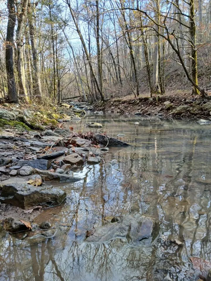 Squatch UTV Rentals LLC
