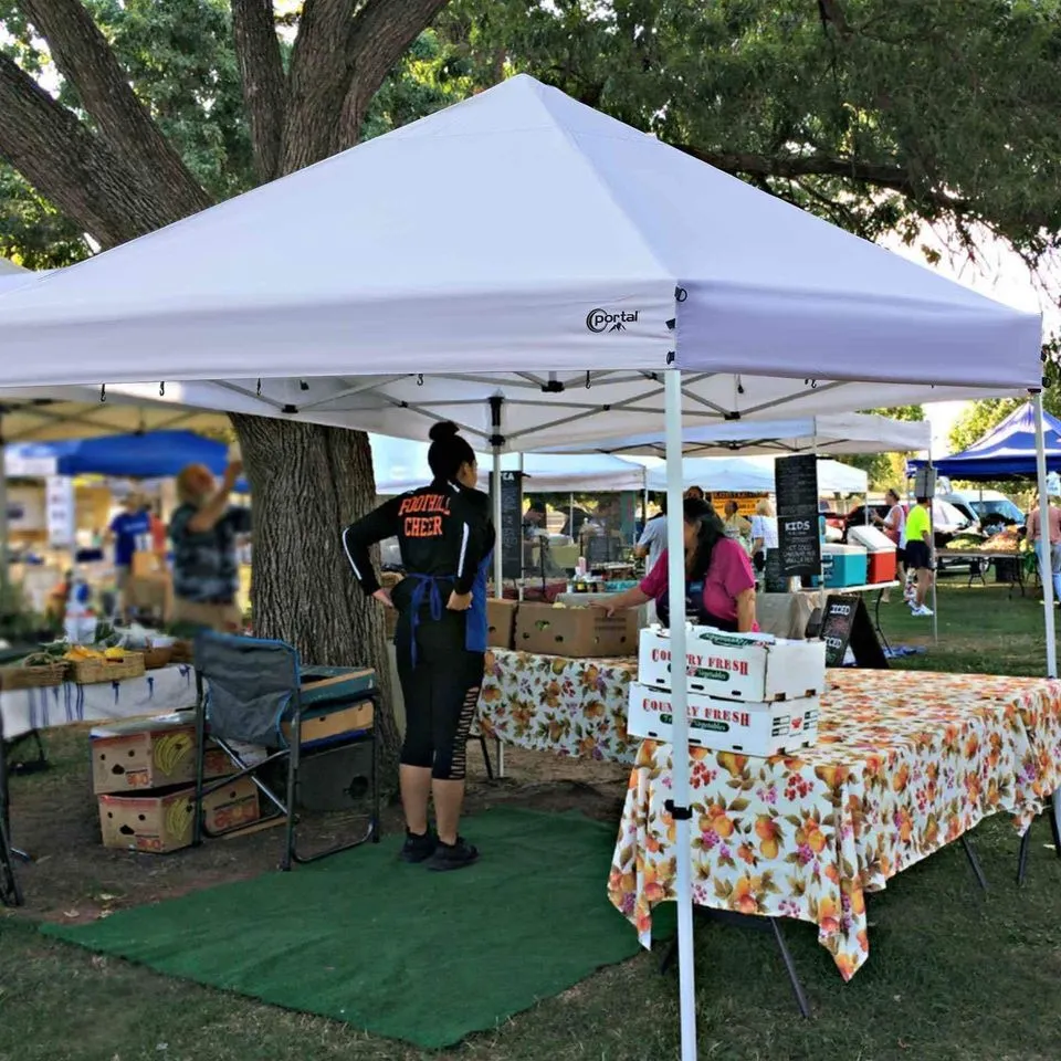 Timeless Occasions Party Rentals: CALGARY