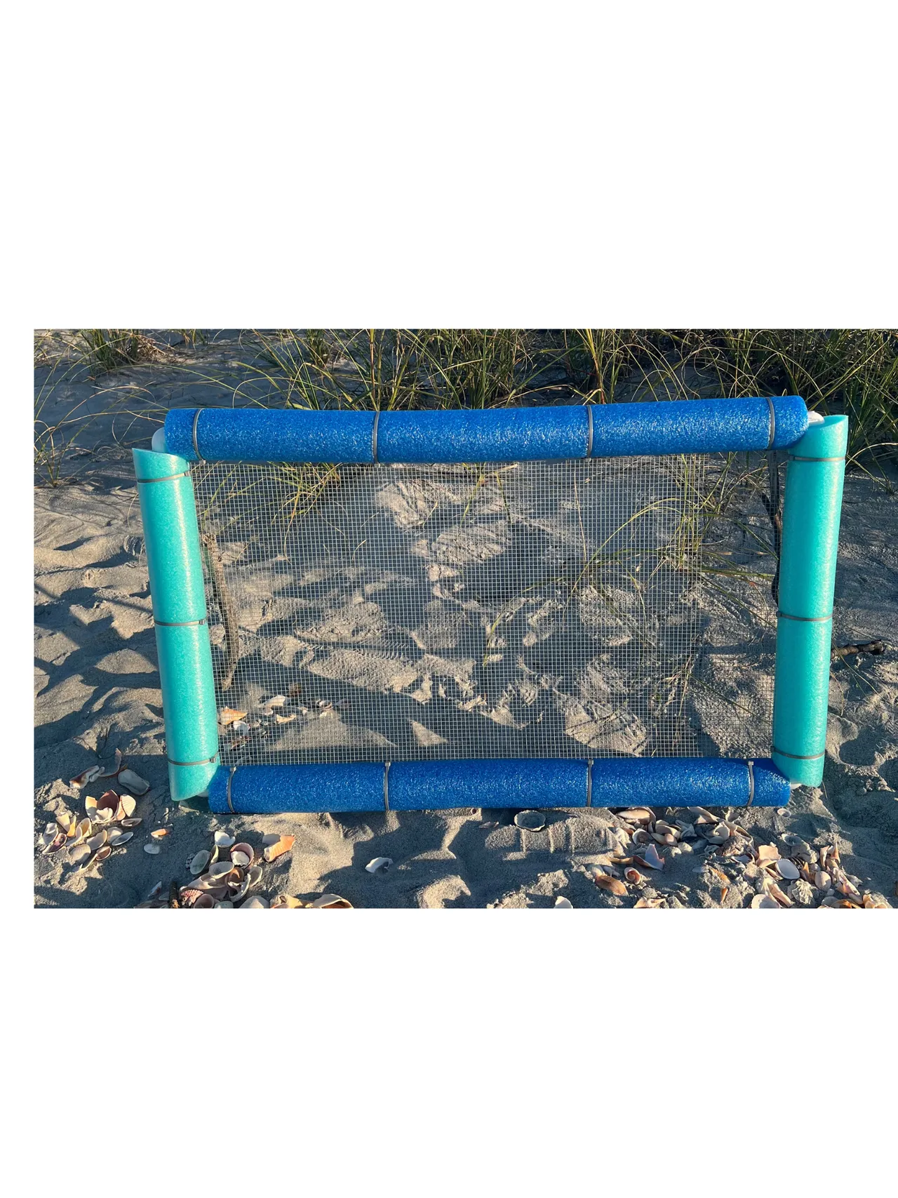 Rent a Boogie Board and Beach Toys | Shark Tooth Sifter Rentals | Sunny ...