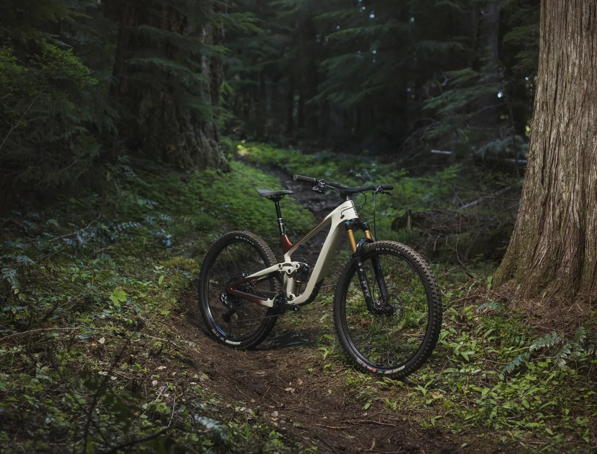 Finch Hatton MTB Rentals