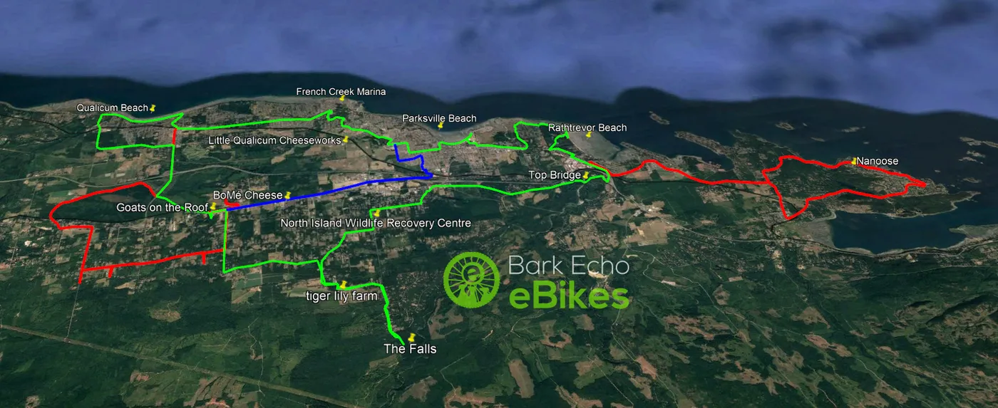 Draw the Bark Echo eBikes Dog!