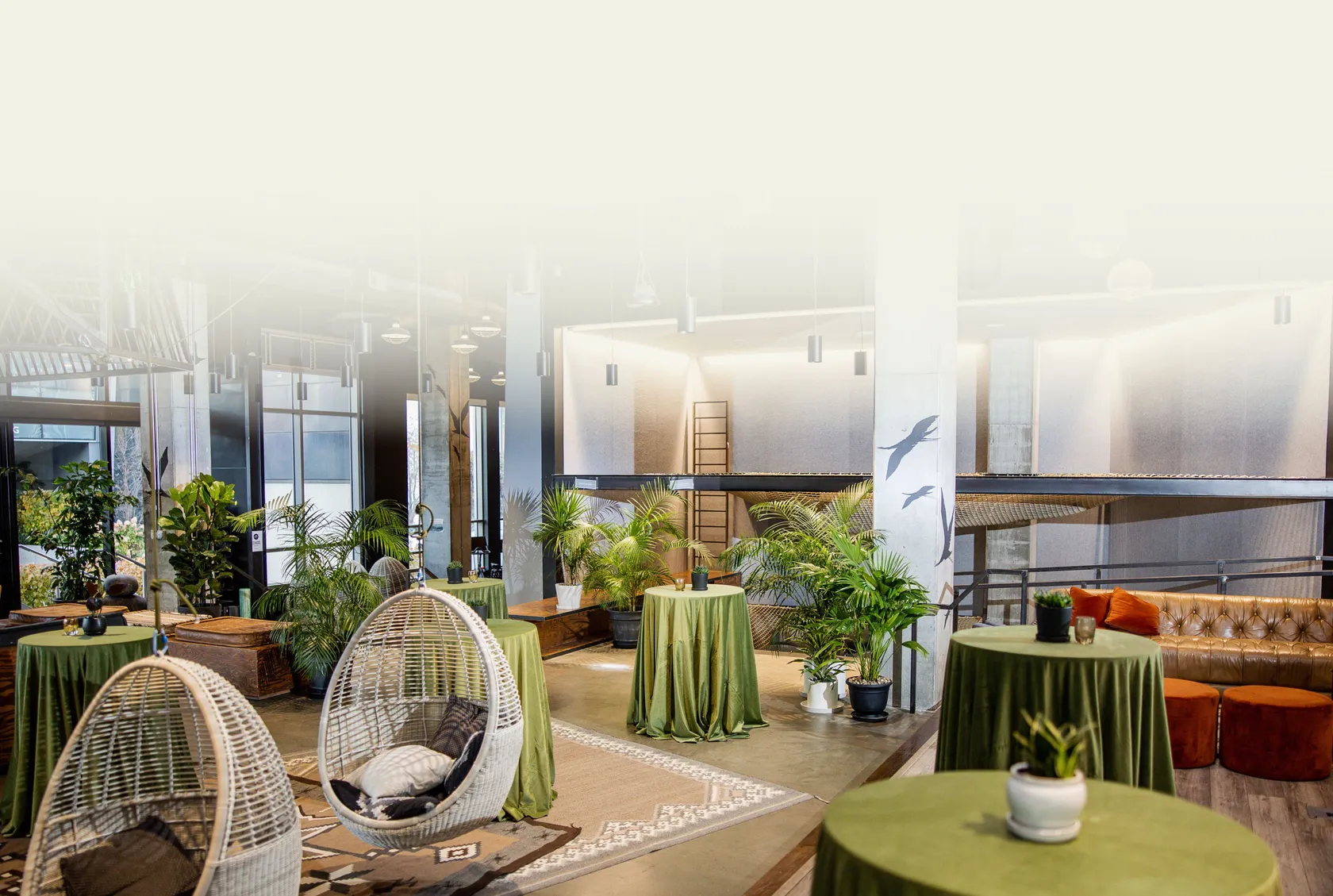 Analog Plant Rentals