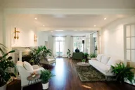 Analog Plant Rentals