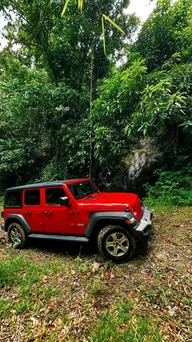 Jeep Rental Puerto Rico: Explore More