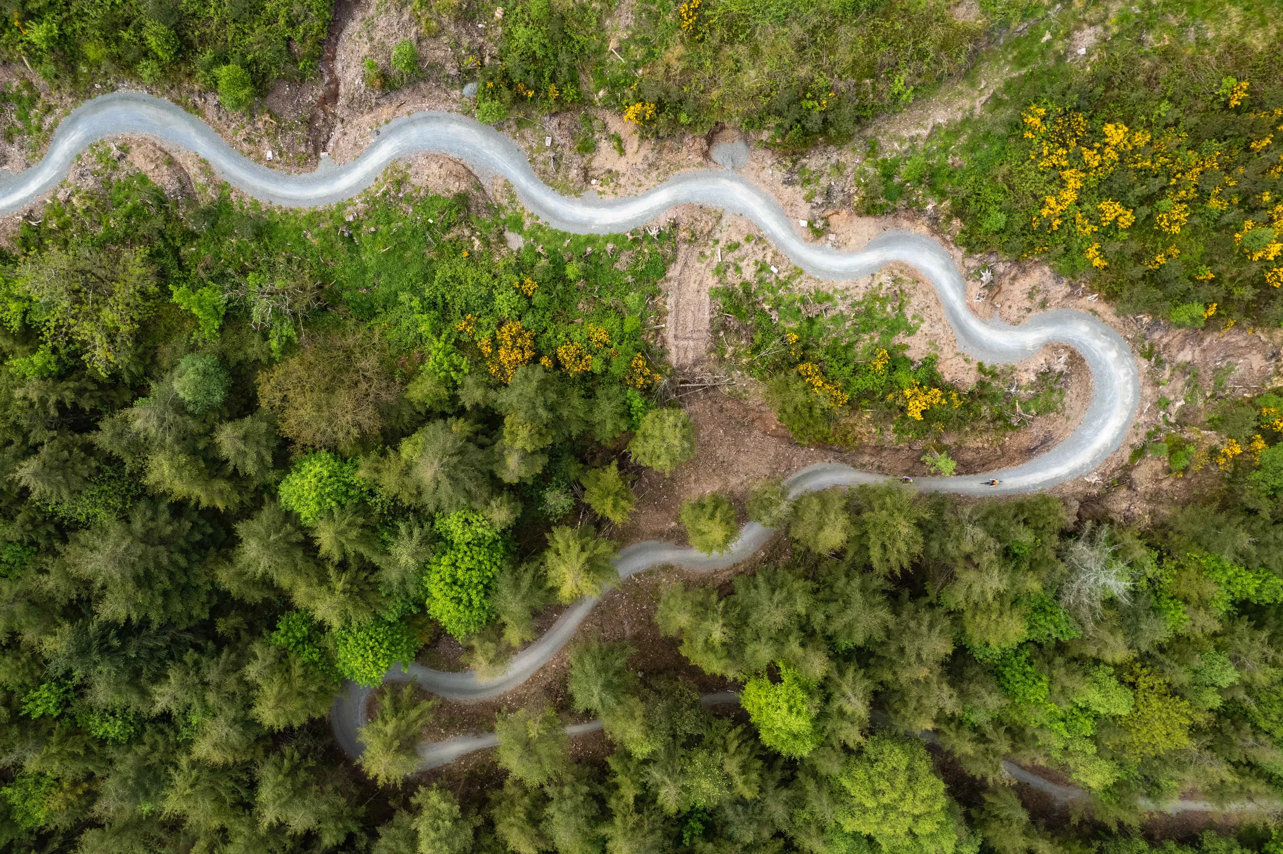 Explore Ballyhoura Mountain Biking Trails | Trailriders | Ballyhouras ...