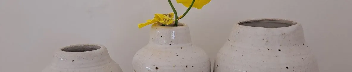 Rent a premium Nidec Shimpo Pottery Wheel & Stool | Rent a Nidec Shimpo ...