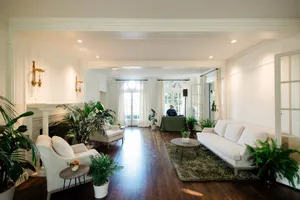 Analog Plant Rentals