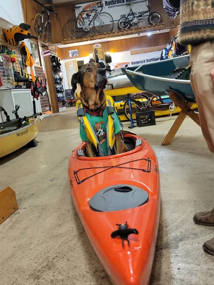 Rentals, Service and Sales of kayaks, canoes, and SUPs | Local and ...