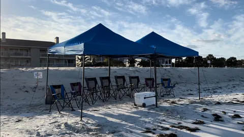 Total Beach Setups
