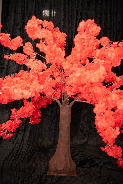 The Luxe Rental Collective