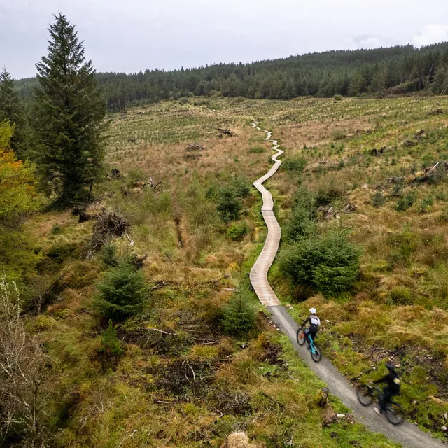 Explore Ballyhoura Mountain Biking Trails | Trailriders | Ballyhouras ...