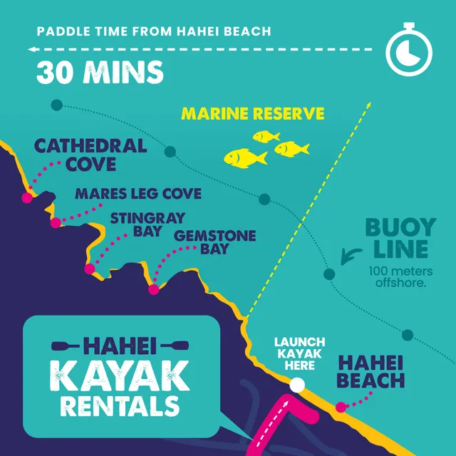Hahei Kayak Rentals