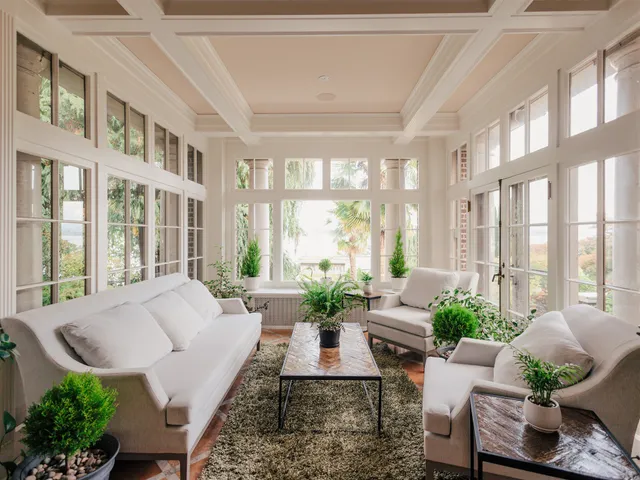 Analog Plant Rentals
