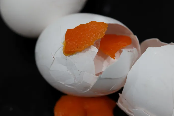 CANON RF 100MM f/2.8L IS Images | Space Coast Brevard Melbourne Florida ...