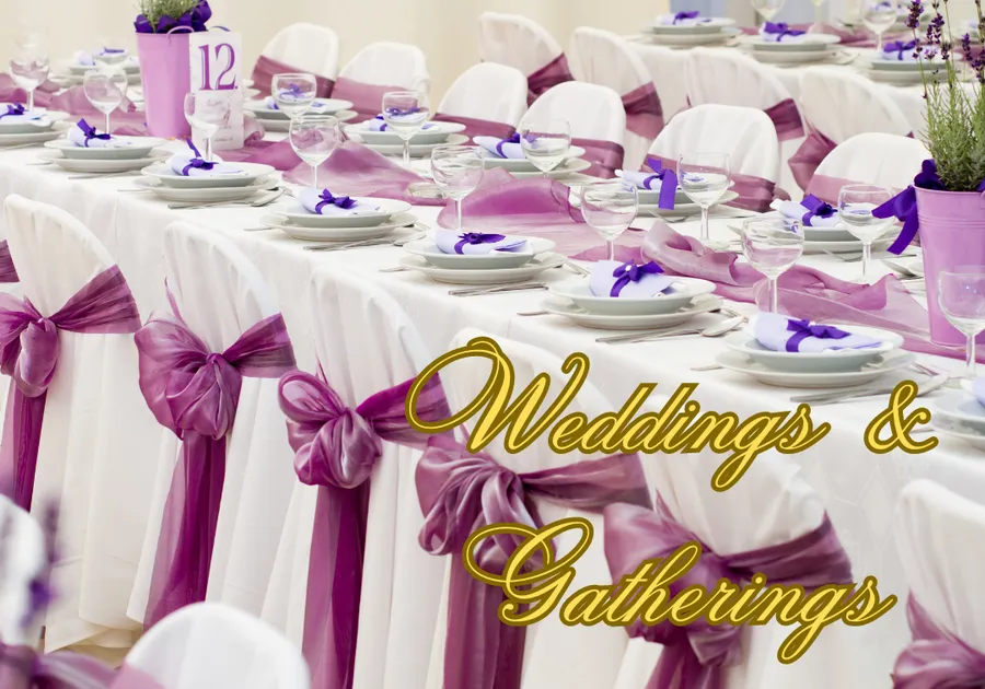 Bounce House, Carnival Rides, Party Rentals | Houston Texas