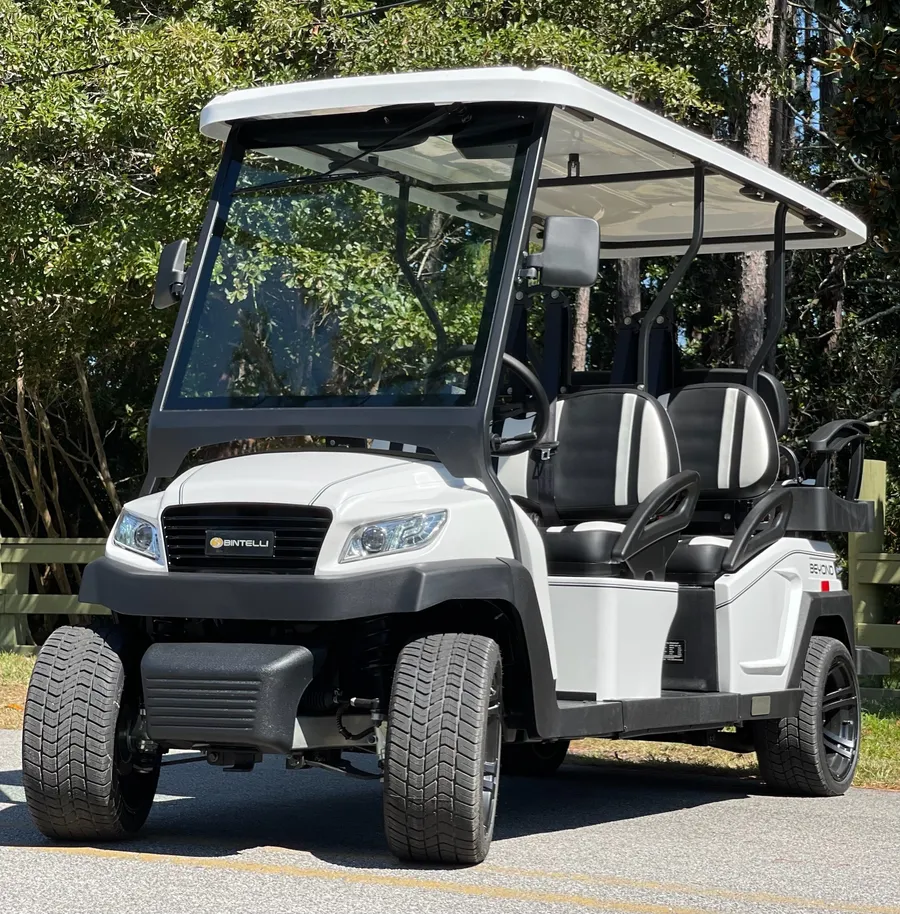 6-Passenger Gas and Electric Golf Carts Available To Rent | Beach ...